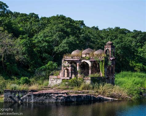 Ranthambore National Park Book My Safari