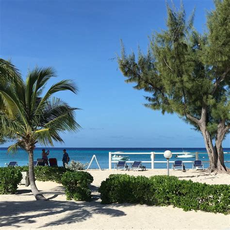 Bohio Dive Resort All You Should Know Before Going 2026 With Reviews