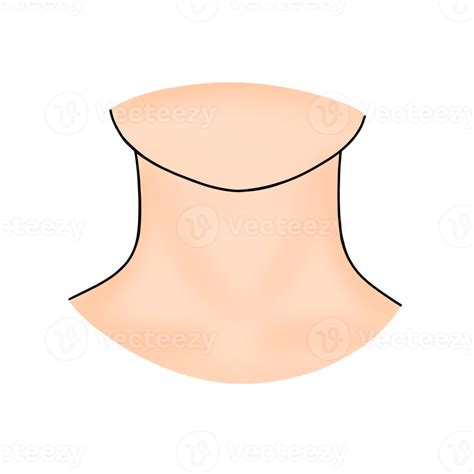 Neck Pngs For Free Download