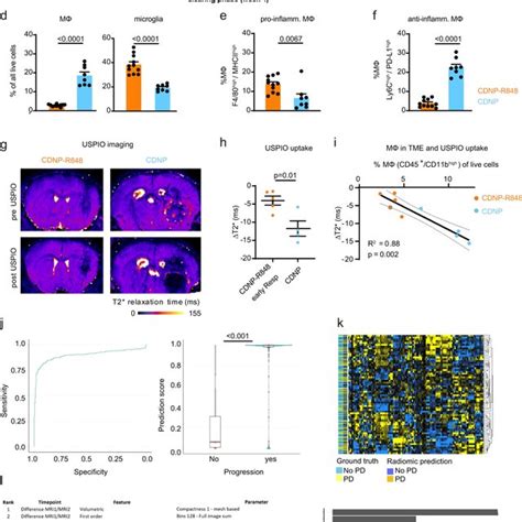 Cdnp R848 Treatment Effect Is Independent Of Cd8 And Cd4 T Cells And Download Scientific