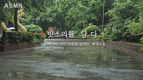 한적한 공원의 빗소리 Asmr 긴장 완화와 마음의 안정을 위한 백색소음 스트레스 해소 이명 완화 집중력 향상 음악