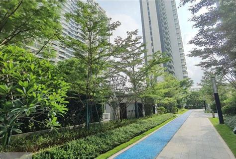 单价12000元㎡ 海口长秀仕家安居房即将启动申购！生活实景项目