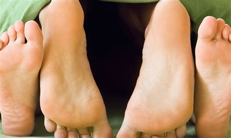 Couple In Court For Disturbing The Peace For Screaming Moaning And