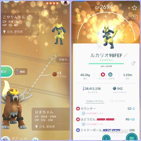 【ポケモンgo】リオルの色違い、 入手方法と実装状況 攻略大百科