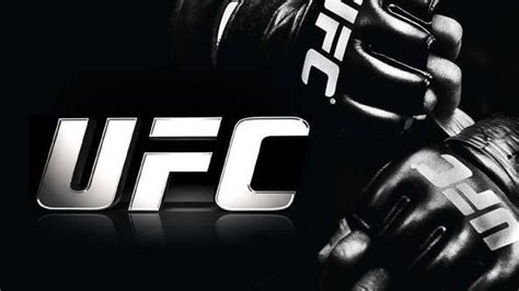 A dinâmica do cinturão no UFC Blog Apostaquente