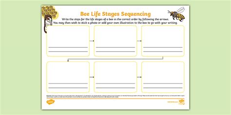 Bee Life Stages Sequencing Mind Map Teacher Made Twinkl