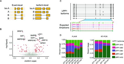 U Af S F Associated Full Length Isoform Usage Changes A Diagram Of