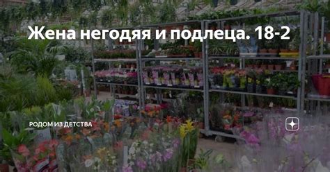 Жена негодяя и подлеца 18 2 Родом из детства Дзен