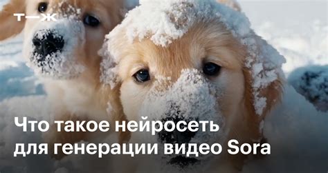 Sora от Openai что за нейросеть и как ей пользоваться