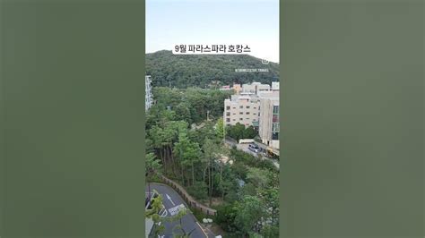 23년 9월 파라스파라 서울 전망~1박 2일 호캉스 Travel Youtube
