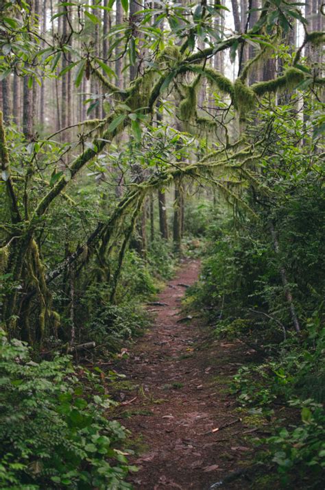 Beaver Loop Prints Libertadred On Tumblr