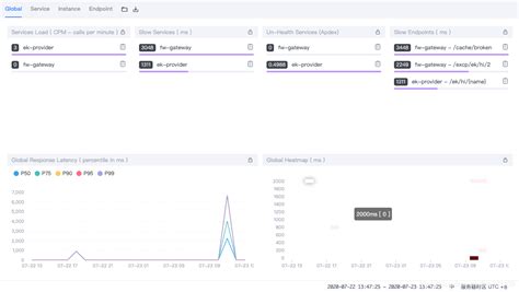 Skywalking Ui指标使用说明3skywalking的自定义指标 Csdn博客
