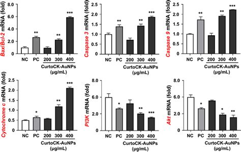 Effects Of Curtock Aunps On The Expression Of Apoptosis Related Genes