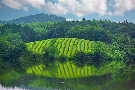 高淳国际慢城游玩攻略