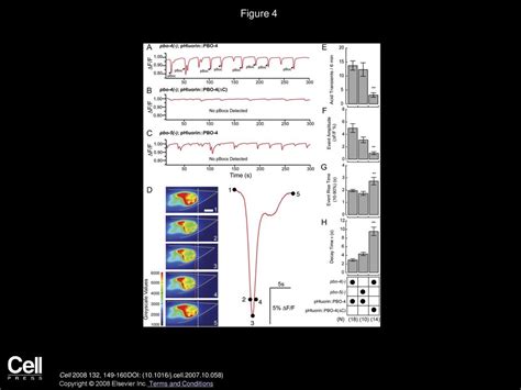 Protons Act As A Transmitter For Muscle Contraction In C Elegans Ppt