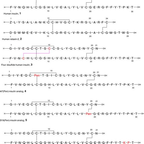 Synthetic Route To Insulin Like Peptides I Synthesis Of Folded