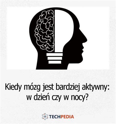 Kiedy mózg jest bardziej aktywny w dzień czy w nocy