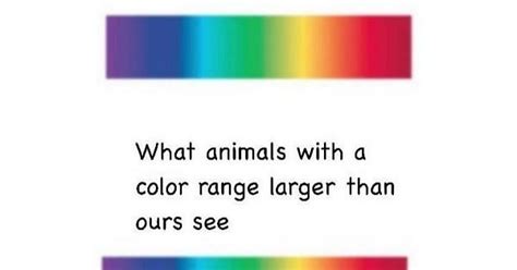 High Iq Meme Here Album On Imgur