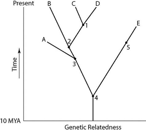 Unit 11 Test Review Flashcards Quizlet