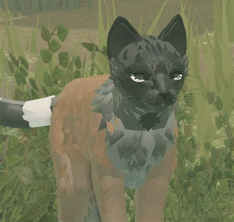 Black And Brown Wcue Morph Warrior Cat Drawings Warrior Cats Warrior