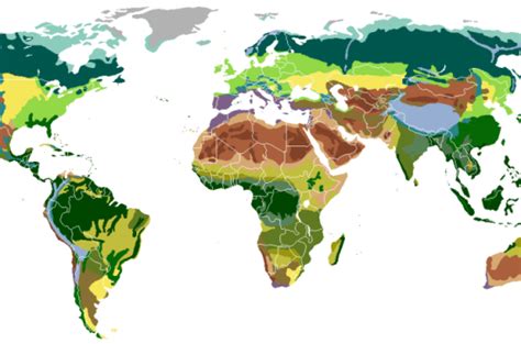 Difference Between Biome And Ecosystem Definition Characteristics