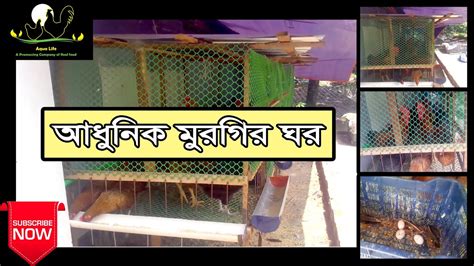 আধুনিক মুরগির ঘর Youtube