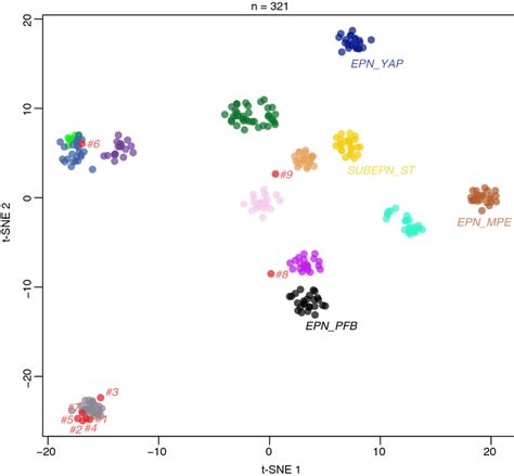 T Distributed Stochastic Neighbor Embedding Plot T Sne Analysis Of