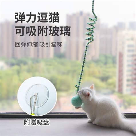 掛門貓玩具盪鞦韆吸盤逗貓玩具自嗨解悶神器貓彈力繩帶鈴鐺球 蝦皮購物