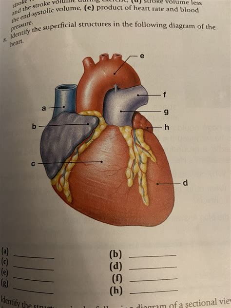 A P II Midterm Exam Diagram Quizlet