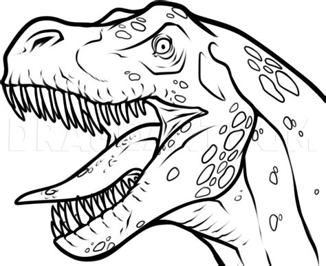 How To Draw A T Rex Dinosaur Step By Step