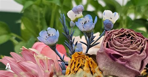 Review Samsung Galaxy S Ultra Photography Performance