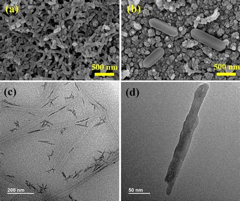 Fesem Micrographs Of A Pani Rgo 0 And B Pani Rgo 1 Hrtem Images