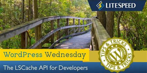 WpW LSCache And Your Plugin Perfect Together LiteSpeed Blog