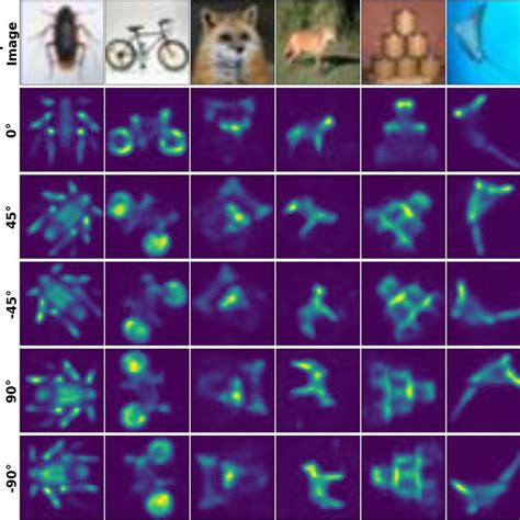 Level 4 Feature Visualization From Different Models On The Cifar 100