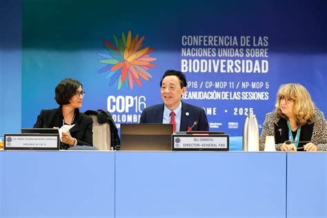 La Fao Da La Bienvenida A La Cop162 De Las Naciones Unidas Sobre La
