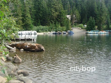 Are Dogs Allowed At Lost Lake Oregon
