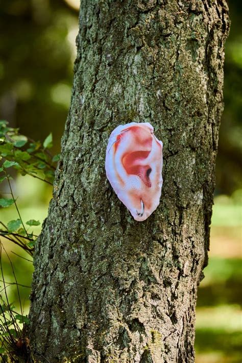 Art Object Of Human Ear On Tree Trunk In Green Forest Background Trees