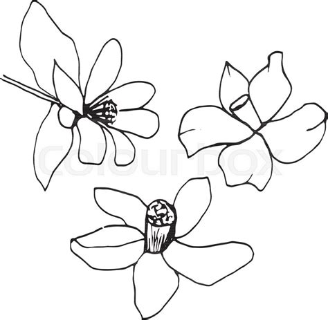 Greeting Card Sketches At Explore Collection Of