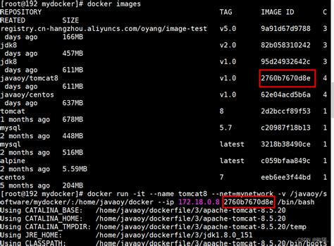 docker网络配置 csdn博客