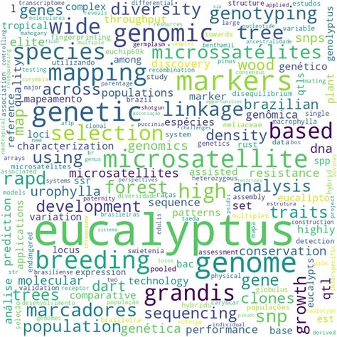 Dario Grattapaglia Plataforma Cpe