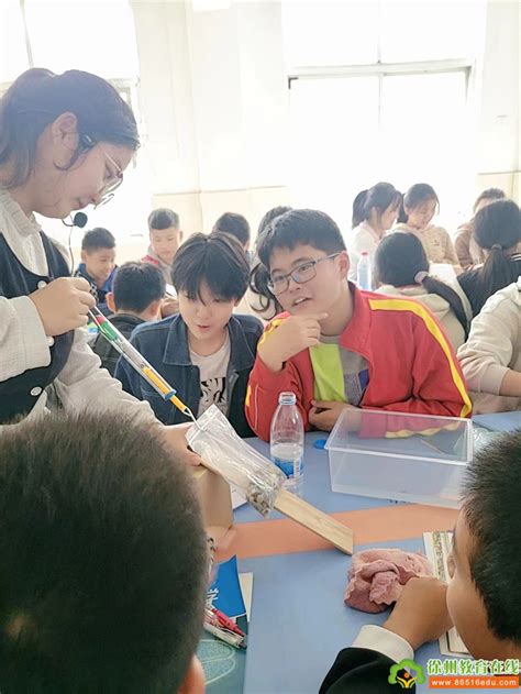 课堂展示，以研促教——记驿城实小科学组教研活动 徐州新闻 徐州教育新闻 徐州教育网 徐州教育在线