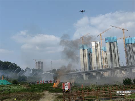 防患于未燃 光明区举办处置森林火灾应急演练 深圳新闻网