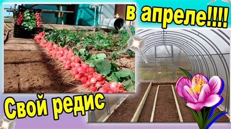 ЧТО ВЫРАСТИТЬ В ТЕПЛИЦЕ В АПРЕЛЕ? - YouTube