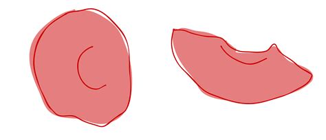 Amino Acid Notation Eightfold