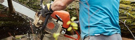 Tree Trimming Safety Safety Canada