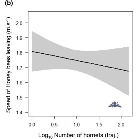 Hornet Density Log10 Trajectories Effects On The Coefficient Of