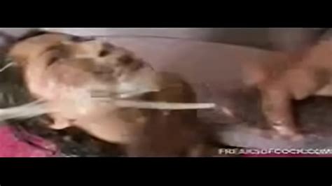 Cum Bath Xxx Mobile Porno Videos And Movies Iporntvnet