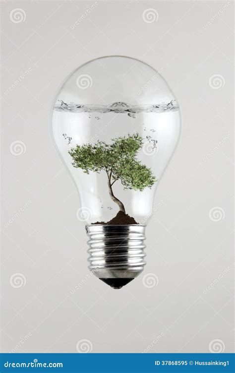 Tree Inside The Light Bulb Stock Illustration Image Of Isolated 37868595