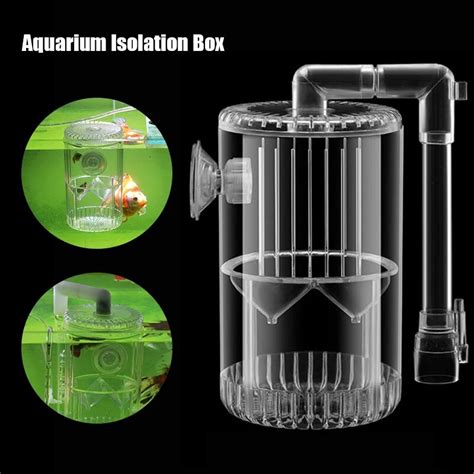 원통형 어항 사육 격리 상자 투명 수족관 인큐베이터 소형 프라이 부화실 수족관 액세서리 물고기 용품 Aliexpress