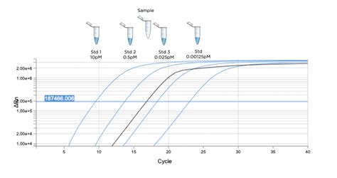 NGS Library Quantification Kit 96 Rxns NUCLEUS BIOTECH